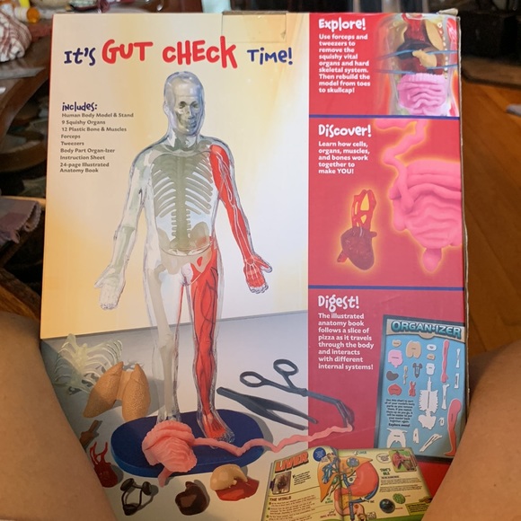 Smart Lab | Toys | Smart Lab Squishy Human Body With Removable Body ...